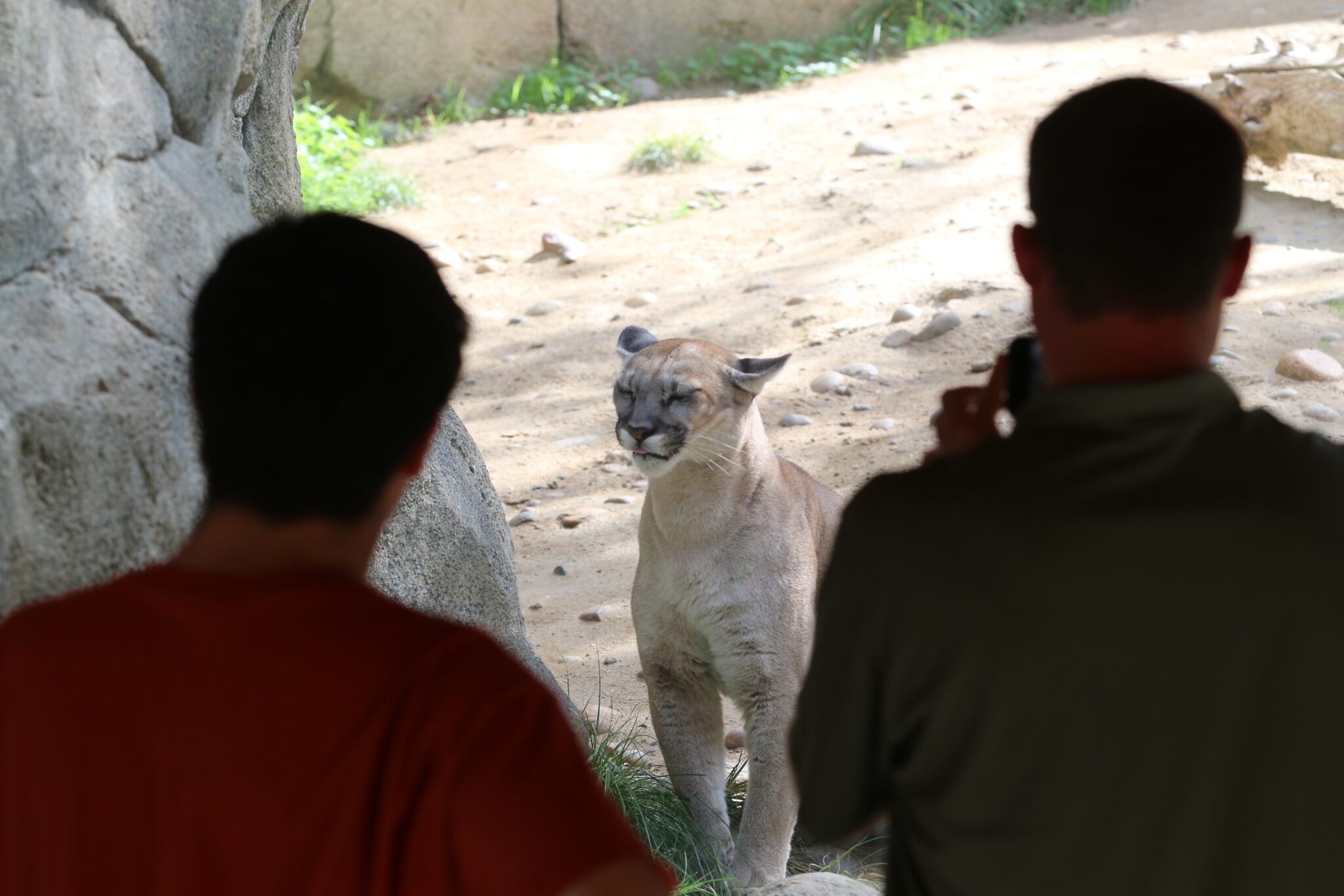 CALM Zoo Unveils Bold 20-Year Plan to Protect Wildlife, Inspire ...