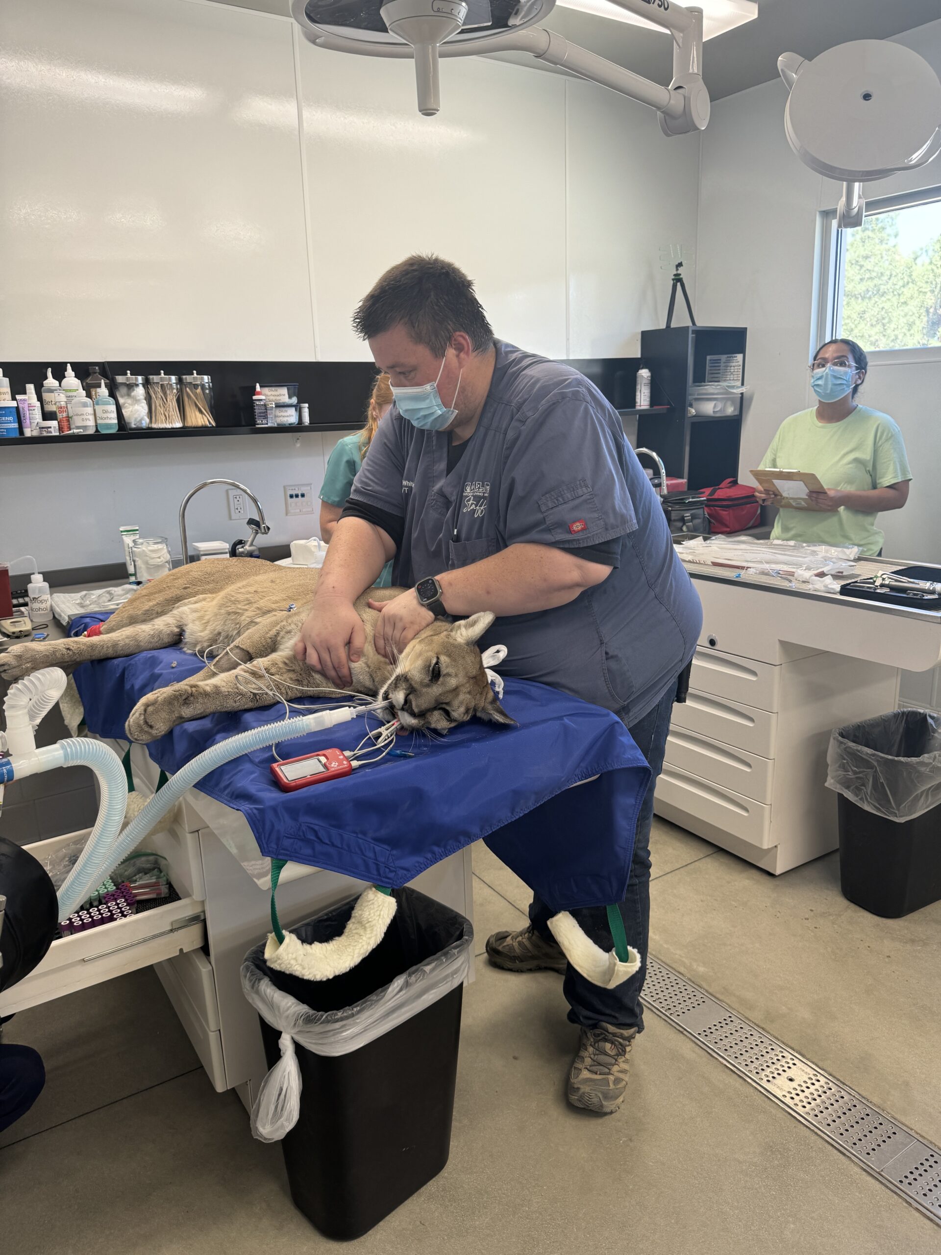 CALM Zoo Unveils Bold 20-Year Plan to Protect Wildlife, Inspire ...