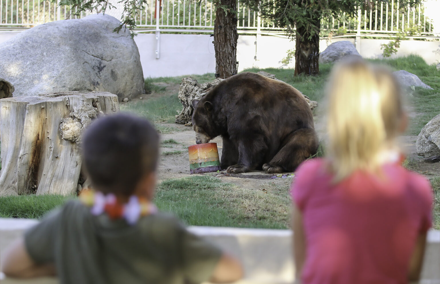 CALM Zoo Unveils Bold 20-Year Plan to Protect Wildlife, Inspire ...