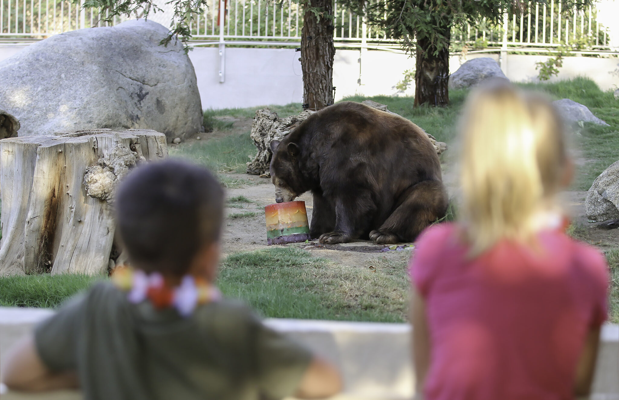 CALM Zoo Unveils Bold 20-Year Plan to Protect Wildlife, Inspire ...